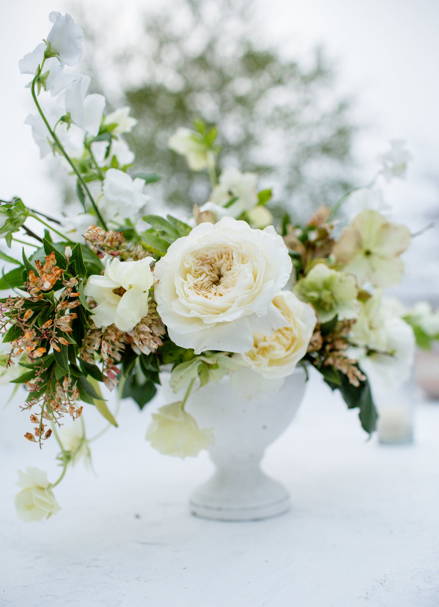Mill Valley Flowers | Authentic Local Florist for Over 30 Years